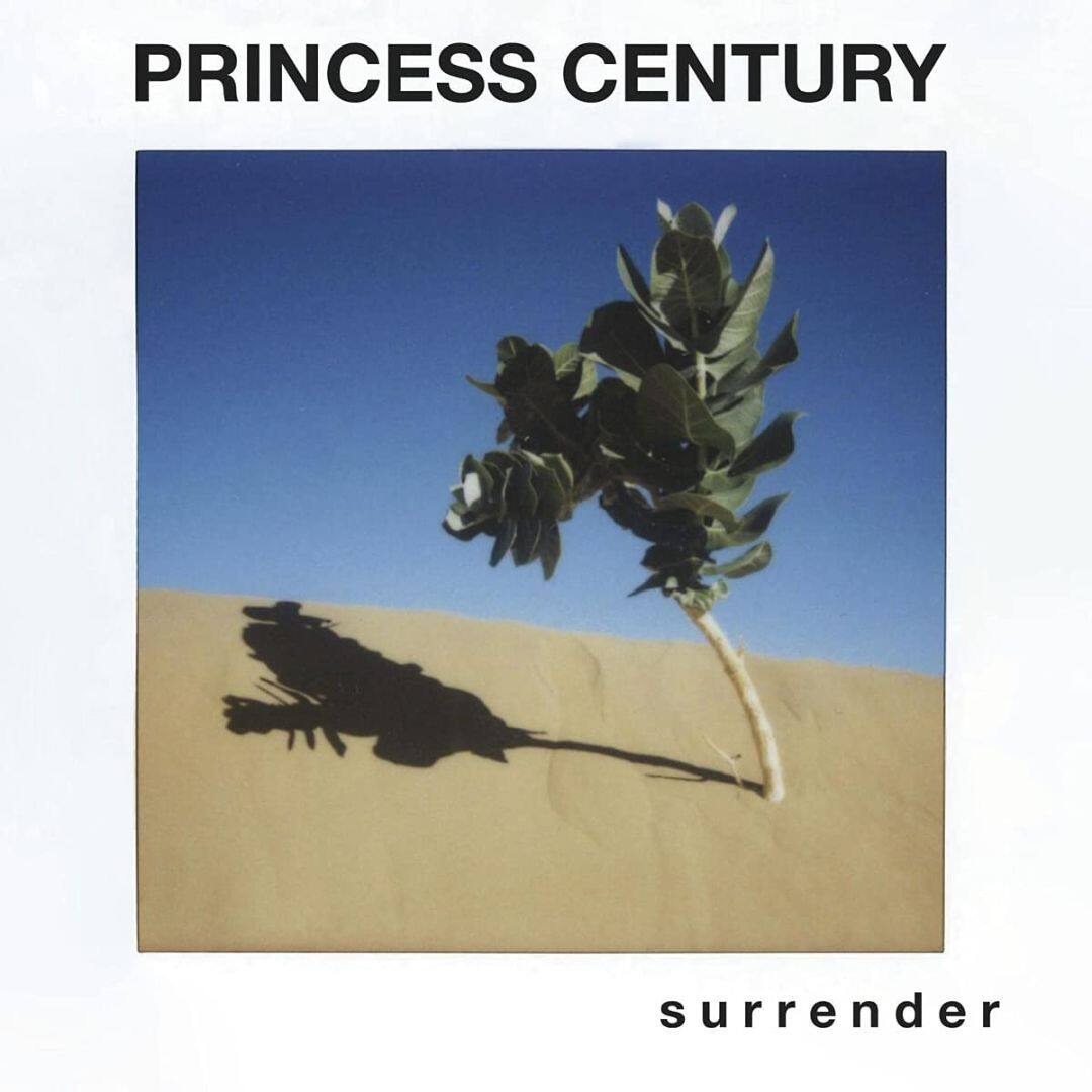 Best Buy: Surrender [LP] VINYL
