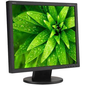 Best Buy: NEC AccuSync 19" LCD Monitor AS192