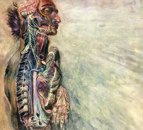 Fear & Nervous System Fear & Nervous System COMPACT DISCS [CD] - Best Buy