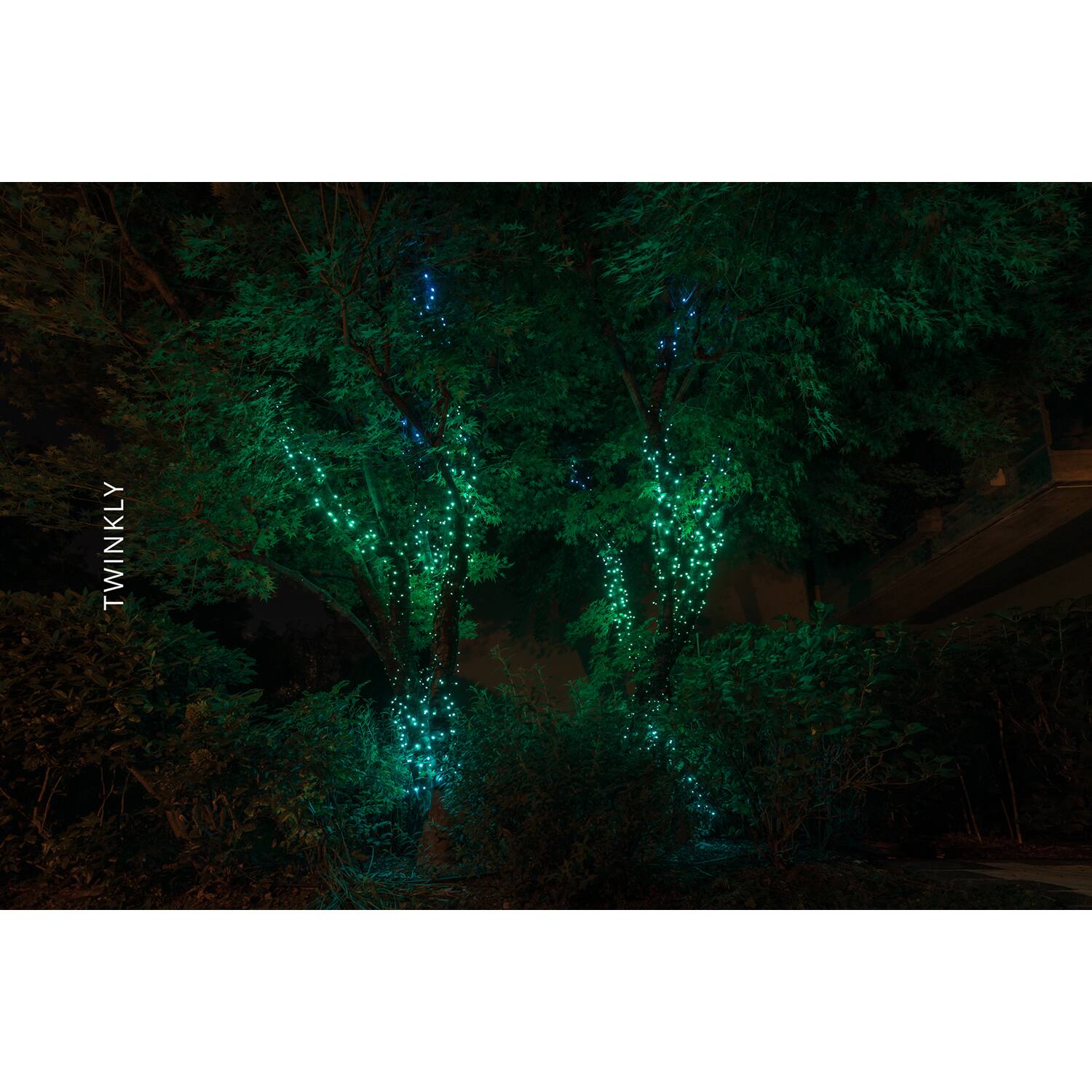 Questions and Answers: Twinkly Smart Light String 100 LED RGB ...