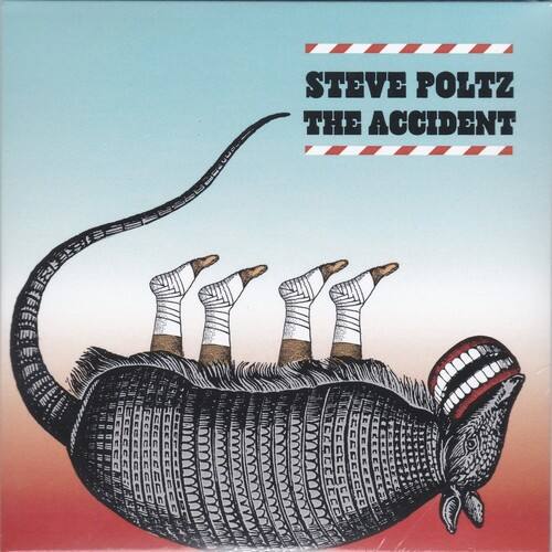 Steve Poltz The Accident COMPACT DISCS [CD] - Best Buy