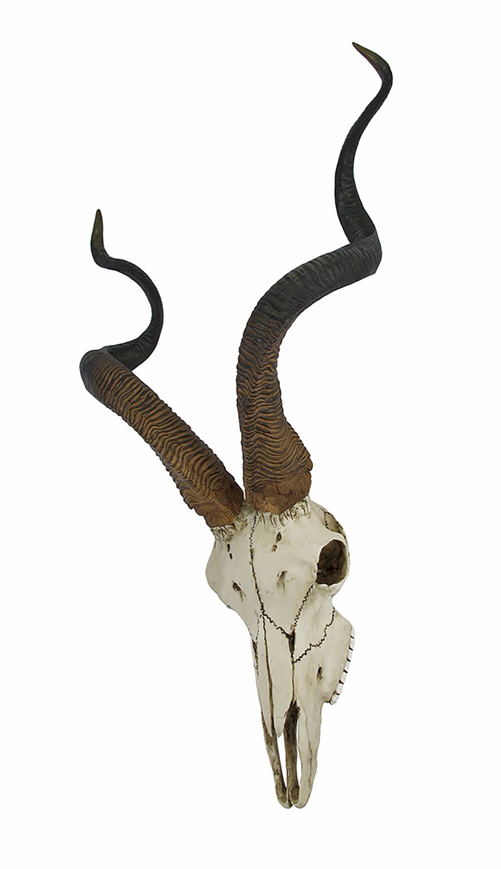 Veronese Design African Kudu Antelope Skull Wall Hanging Cool Twisted ...