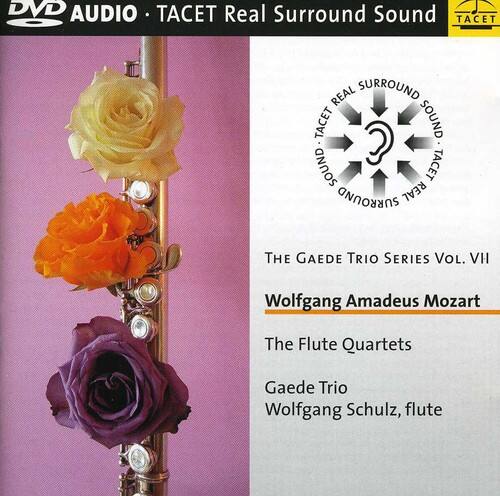 Gaede Trio Berlin Gaede Trio Series 7 DVD AUDIO [DVD Audio] - Best Buy