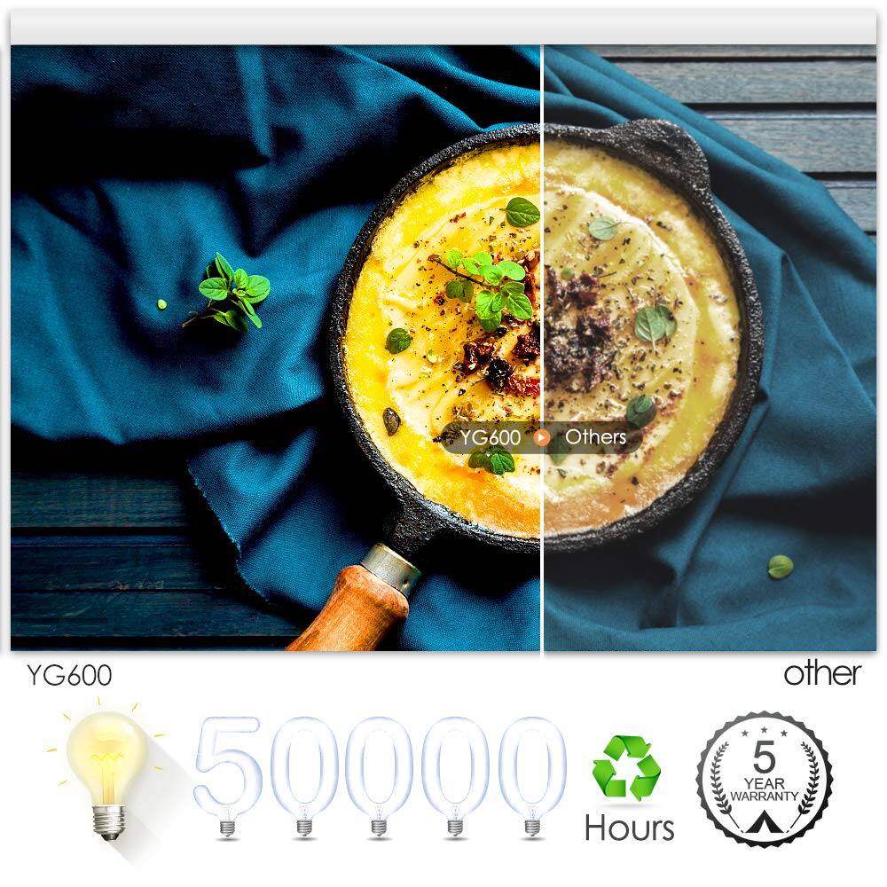 Elephas 1080P Projector: Dolby Native, 15000L Outdoor, 230" Home ...