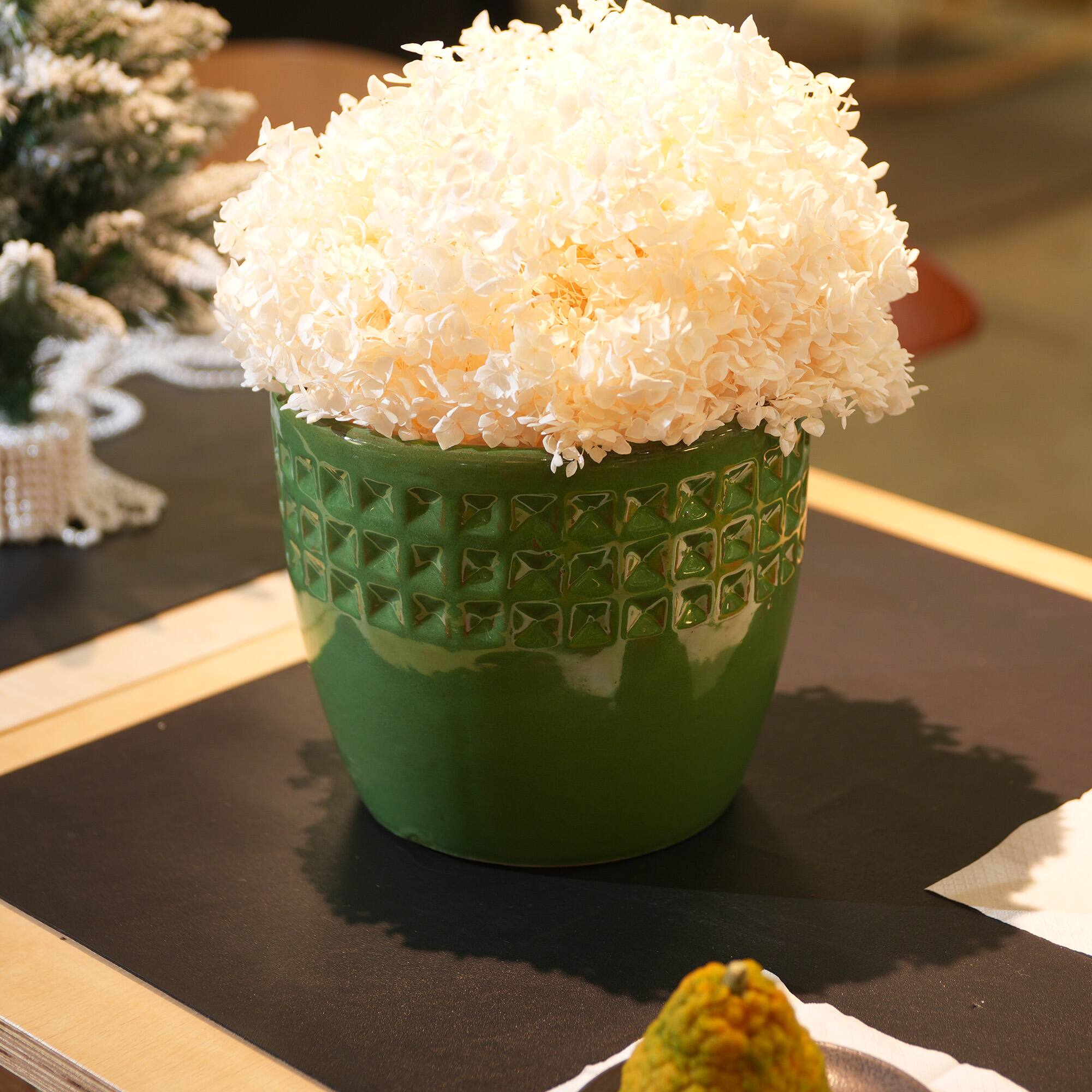 Loheer Ceramic Planter Set of 3 Handmade Green Plant Pots, Breathable ...