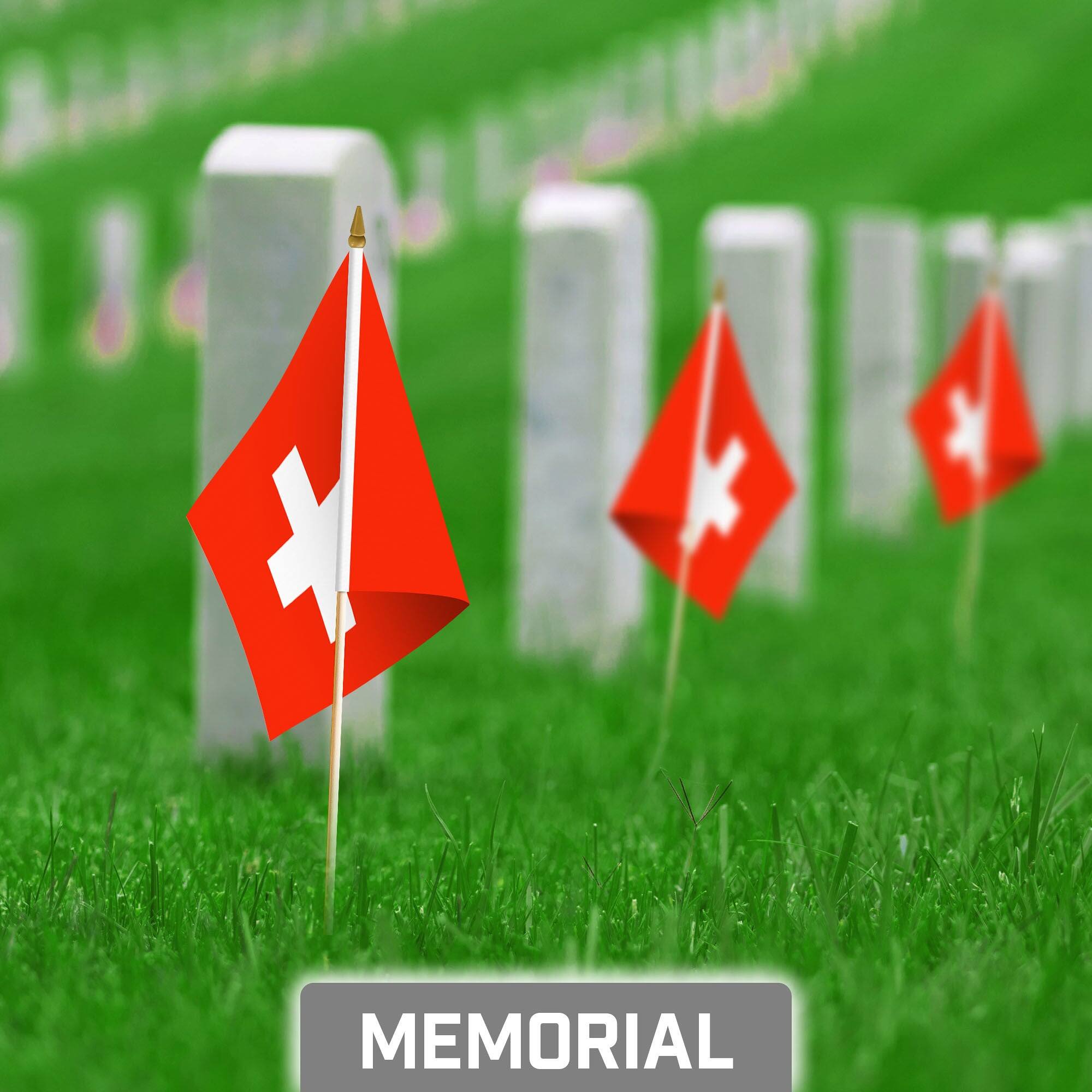G128 24 Pack Handheld Switzerland Stick Flags, 8 x 12 in, 150D ...