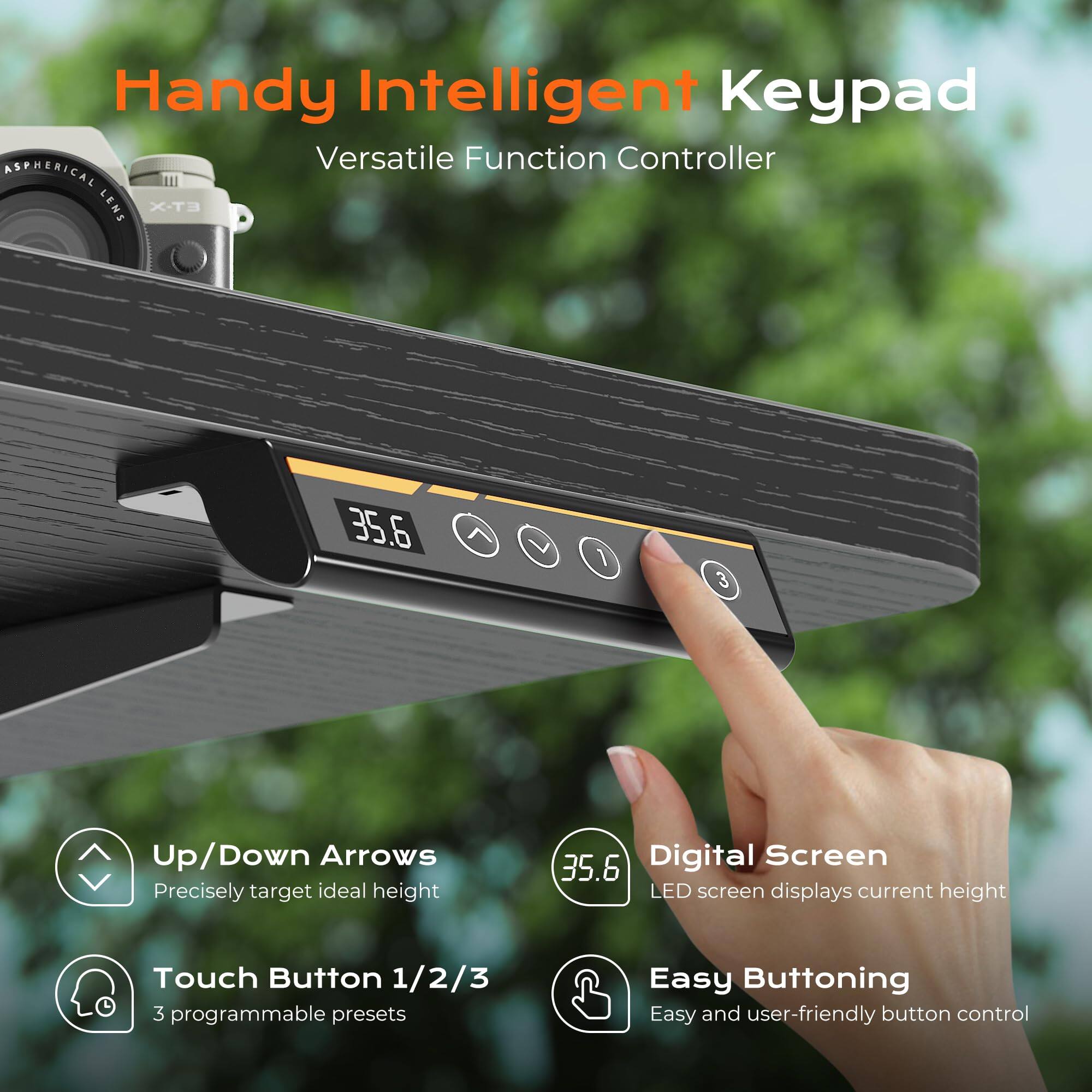 Hirose Alice Huuger 48 x 28 Large Electric Standing Desk, Height ...