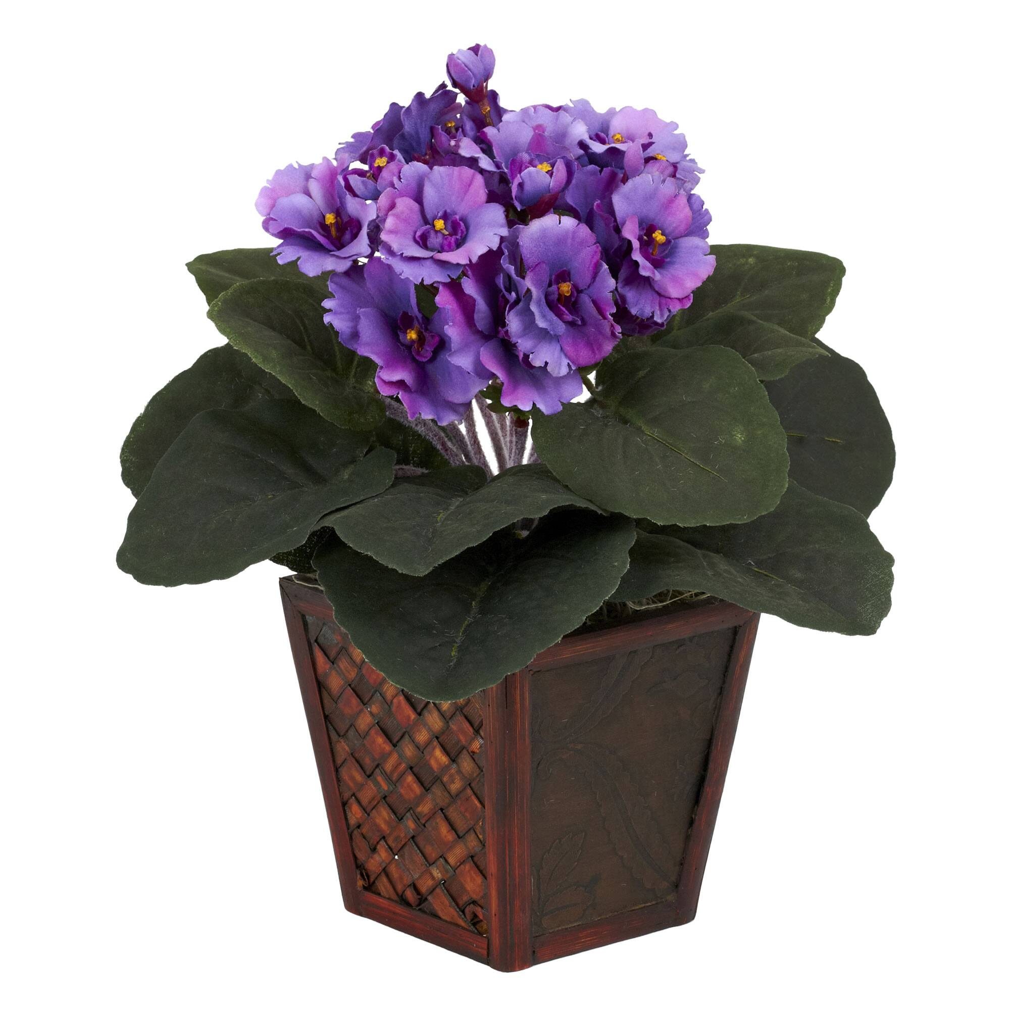 BreeBe African Violet w/Vase Purple & Cream/Pink 6685-S2 - Best Buy