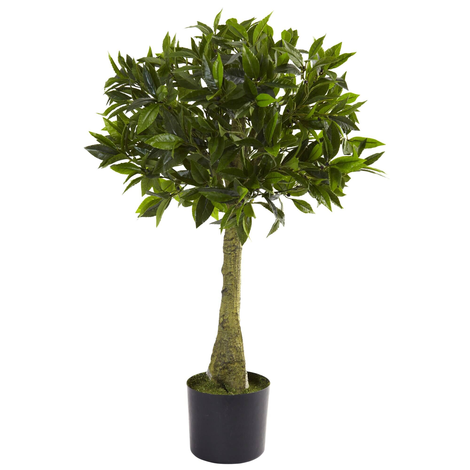 BreeBe 3' Bay Leaf Topiary UV Resistant w/604 Lvs (Indoor/Outdoor ...