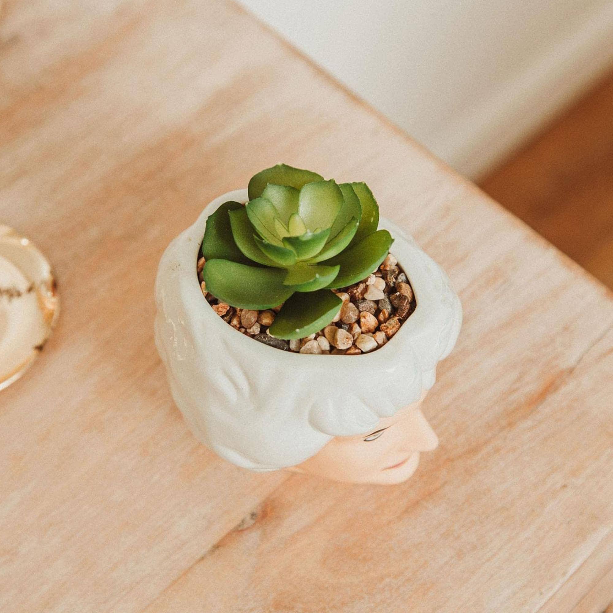 Silver Buffalo The Golden Girls Face Mini Ceramic Planter With Faux ...