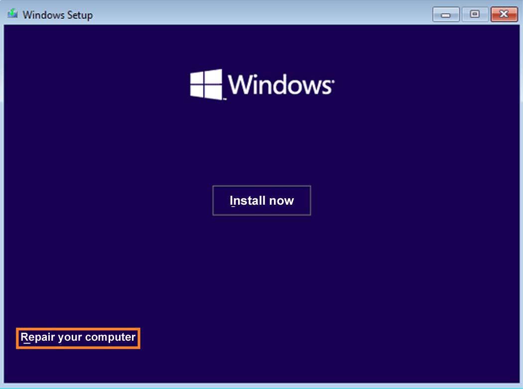 Computer Werx Windows 10 Bootable Home & Pro 32/64 Bit Repair Recover ...