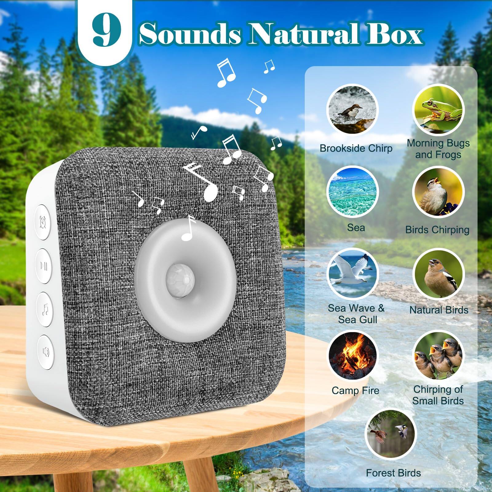 Cedar Assembly Singing Bird Box Sound With Motion Sensor Birds Chirping ...