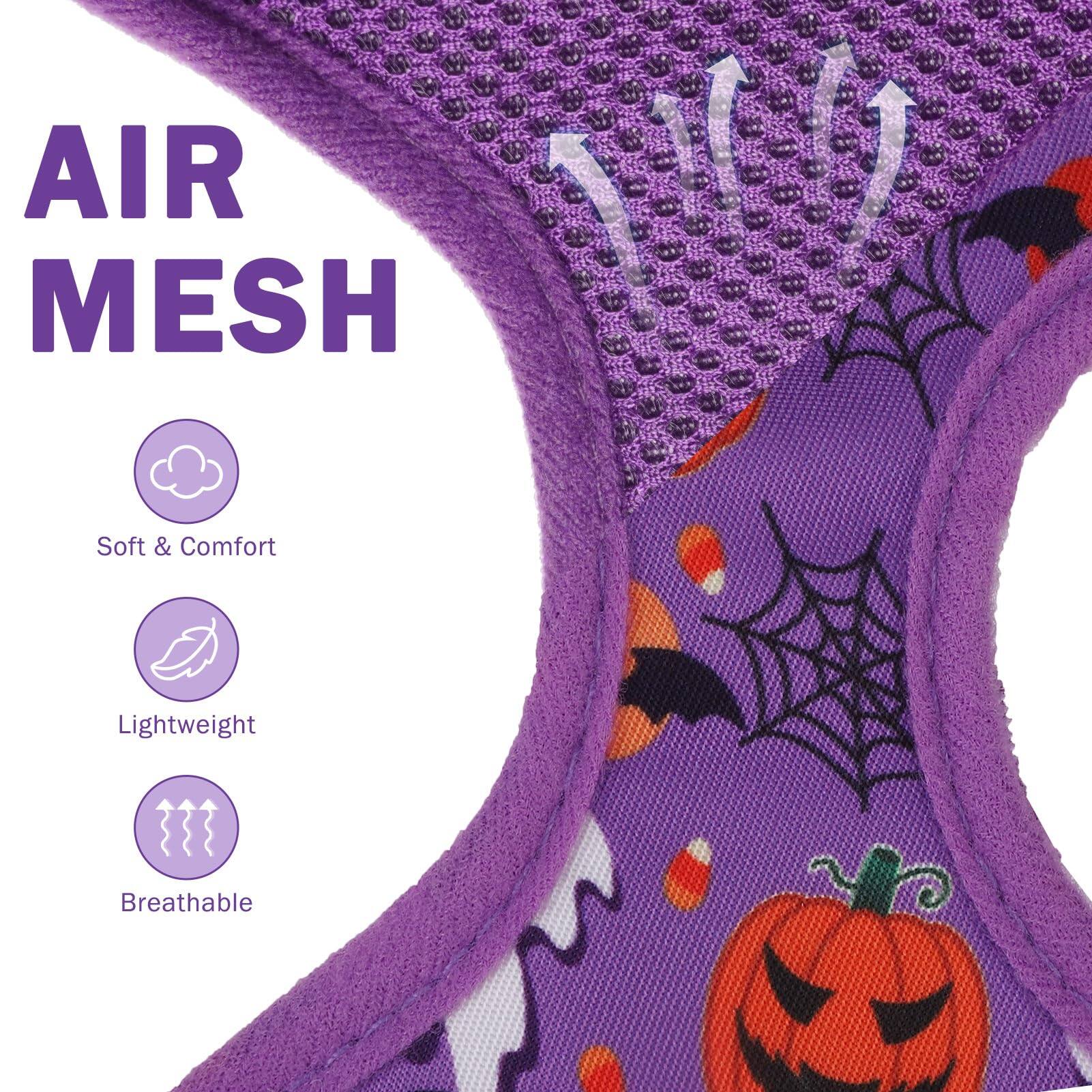 Paradigms Interiors Dog Harness Collar And Leash Set No Pull Pet ...