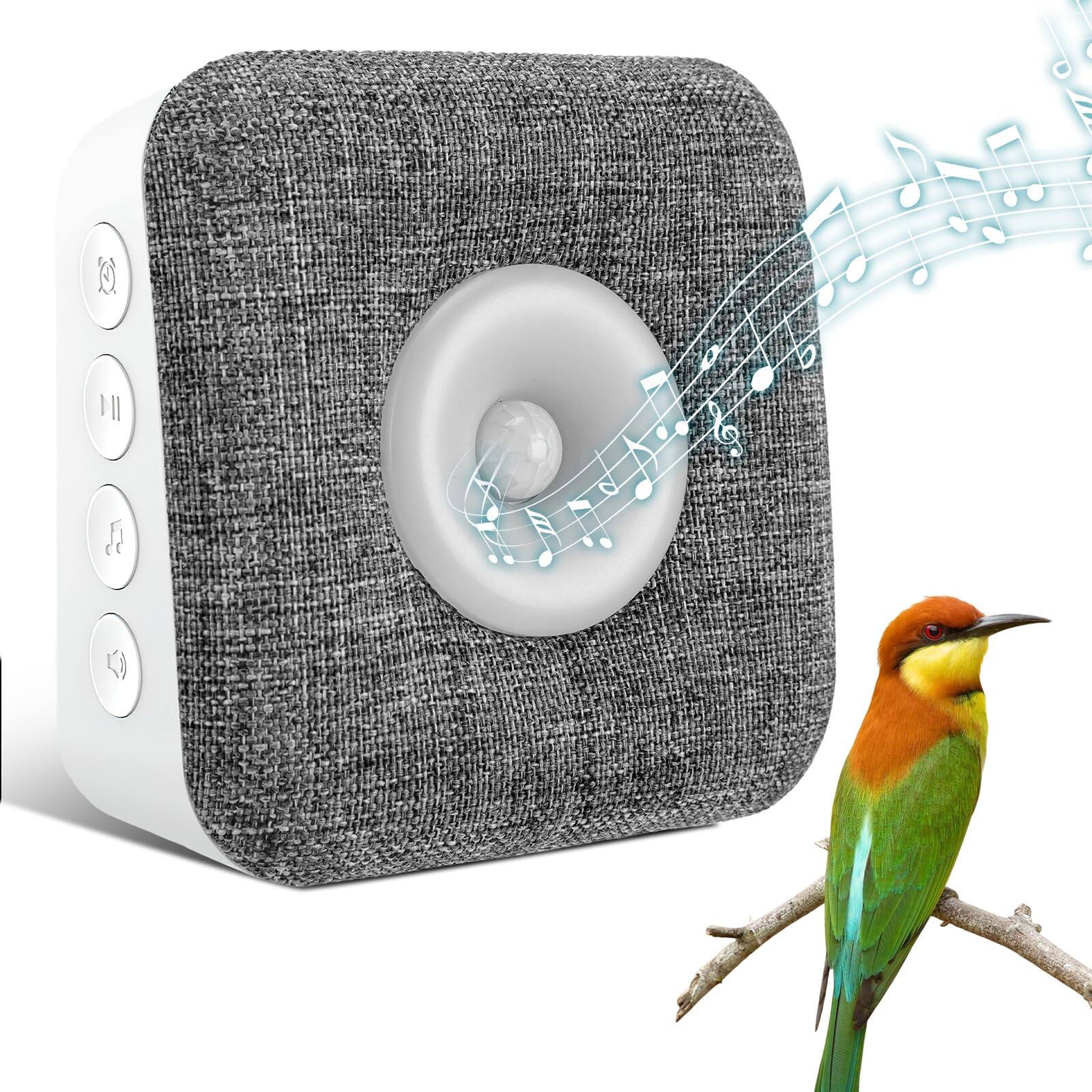 Cedar Assembly Singing Bird Box Sound With Motion Sensor Birds Chirping ...