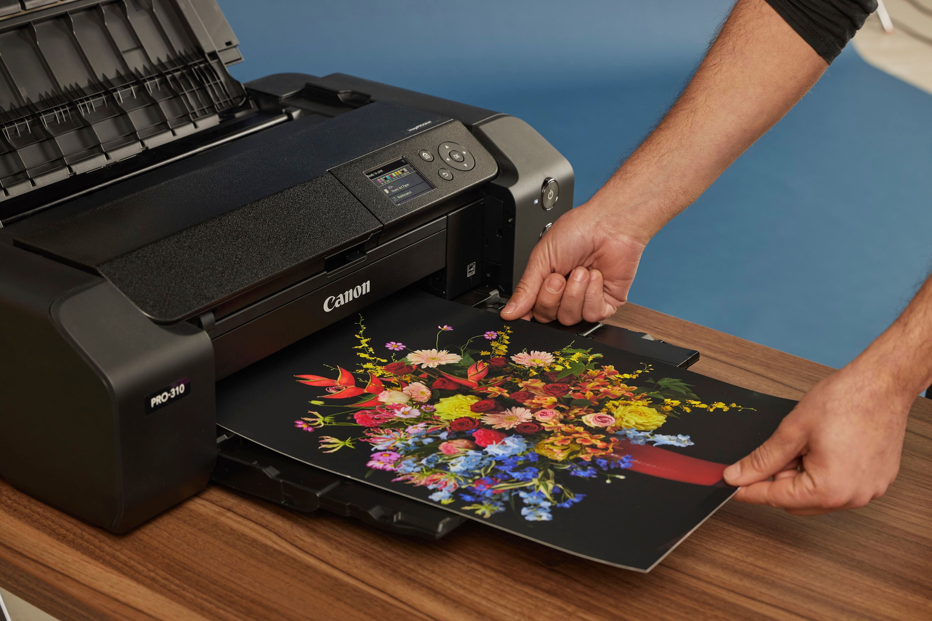 Canon imagePROGRAF PRO-310 Professional Wireless Inkjet Photo Printer Black 6858C002 - Best Buy