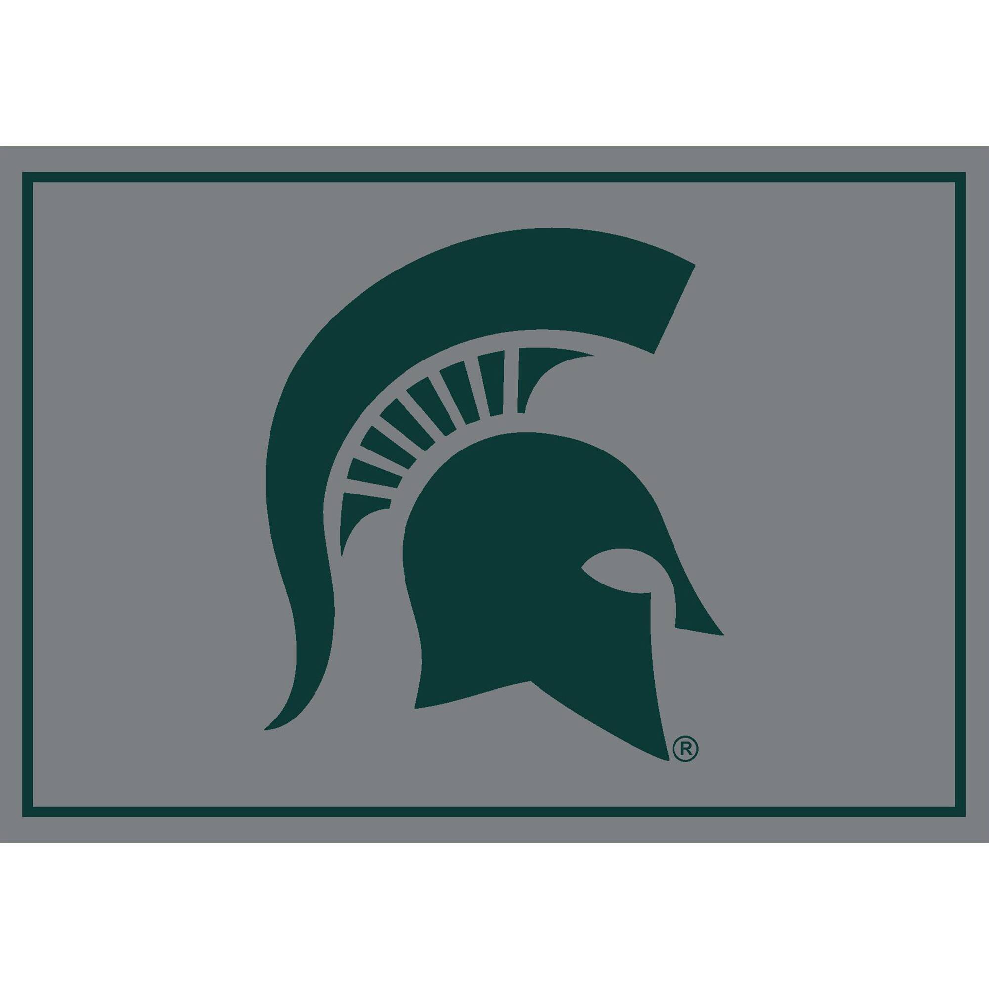 Imperial Michigan State Spartans 7'8'' x 10'9'' Spirit Rug Black ...