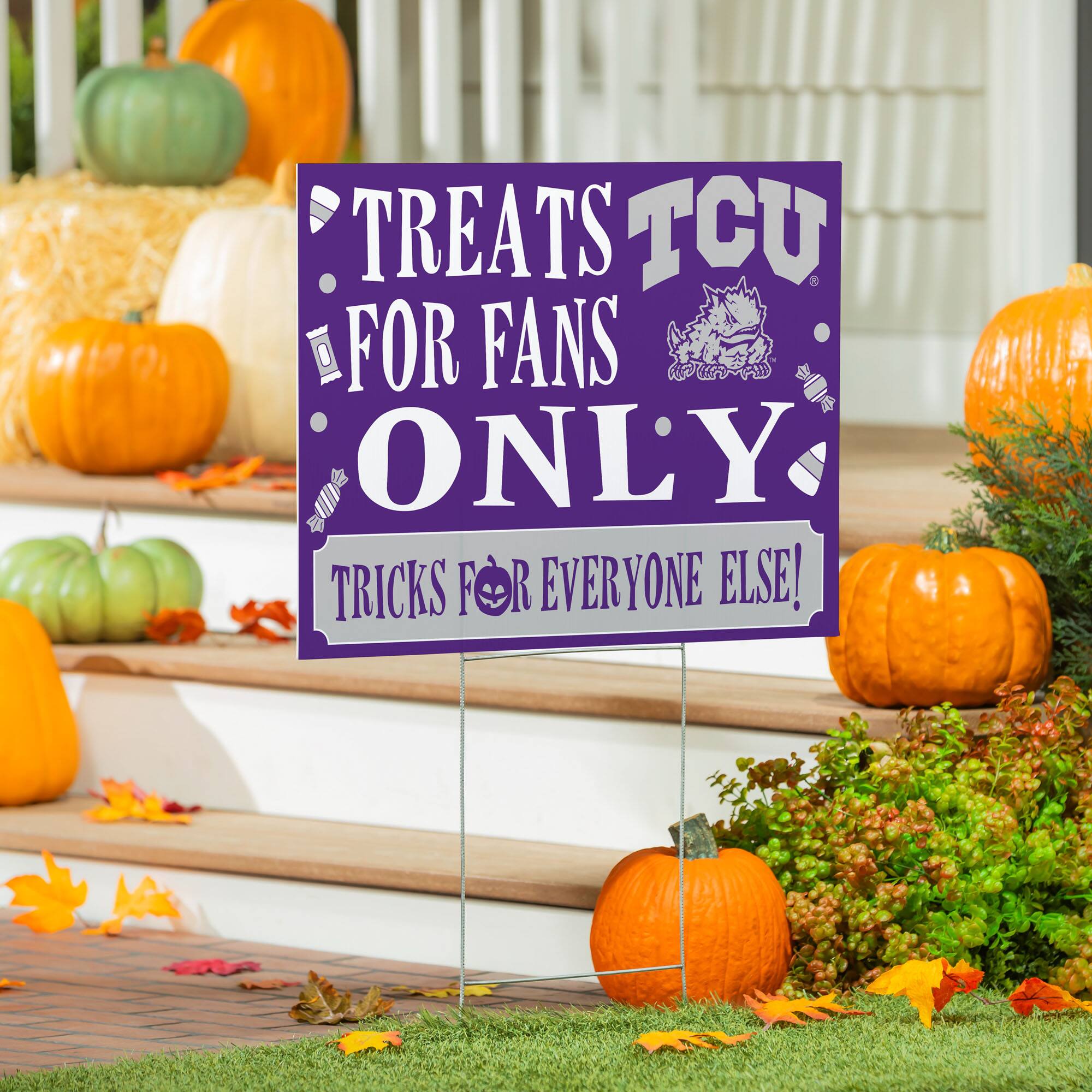 Evergreen Enterprises TCU Horned Frogs 18" x 24" Halloween Treats ...