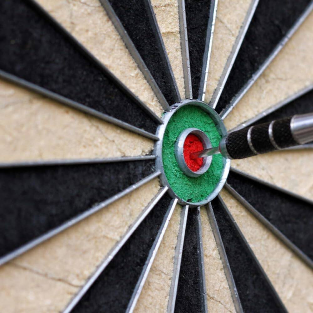 Skar Audio Bristle Dart Board Tournament Sized Indoor Hanging Number Target Game For Steel Tip ...