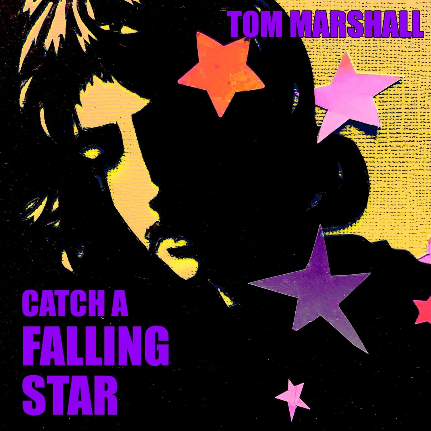 Tom Marshall Catch A Falling Star COMPACT DISCS - Best Buy