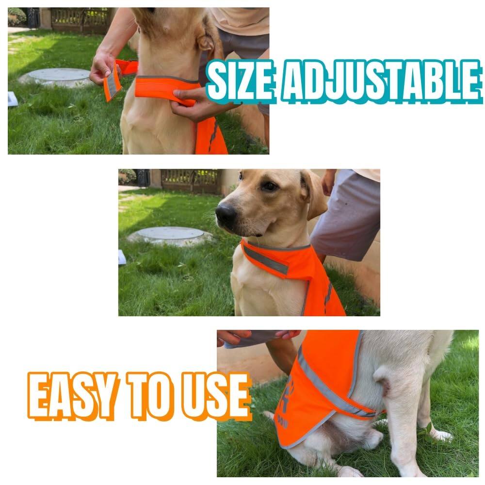 Paradigms Interiors Reflective Dog Safety Vest High Visibility For ...