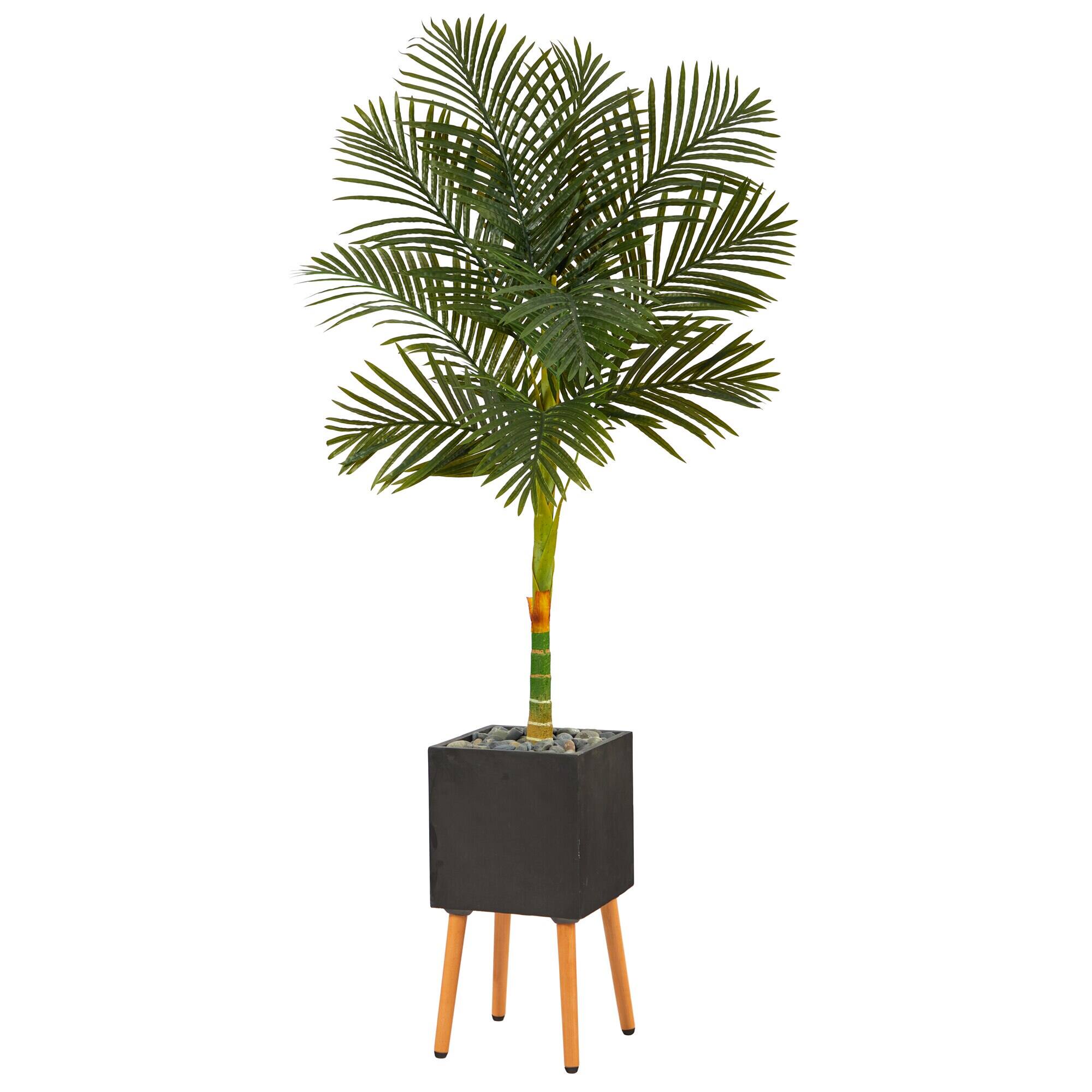 BreeBe 6' Golden Cane Palm Tree in Black Planter with Stand Green T2177 ...
