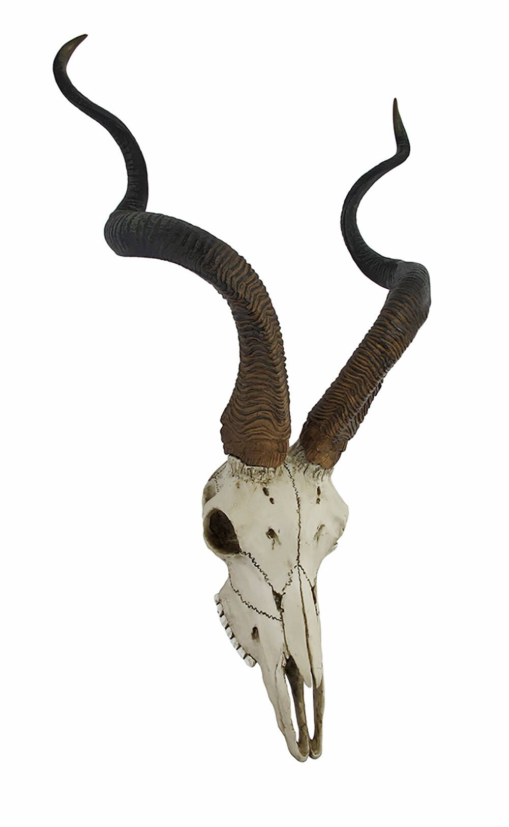 Veronese Design African Kudu Antelope Skull Wall Hanging Cool Twisted ...