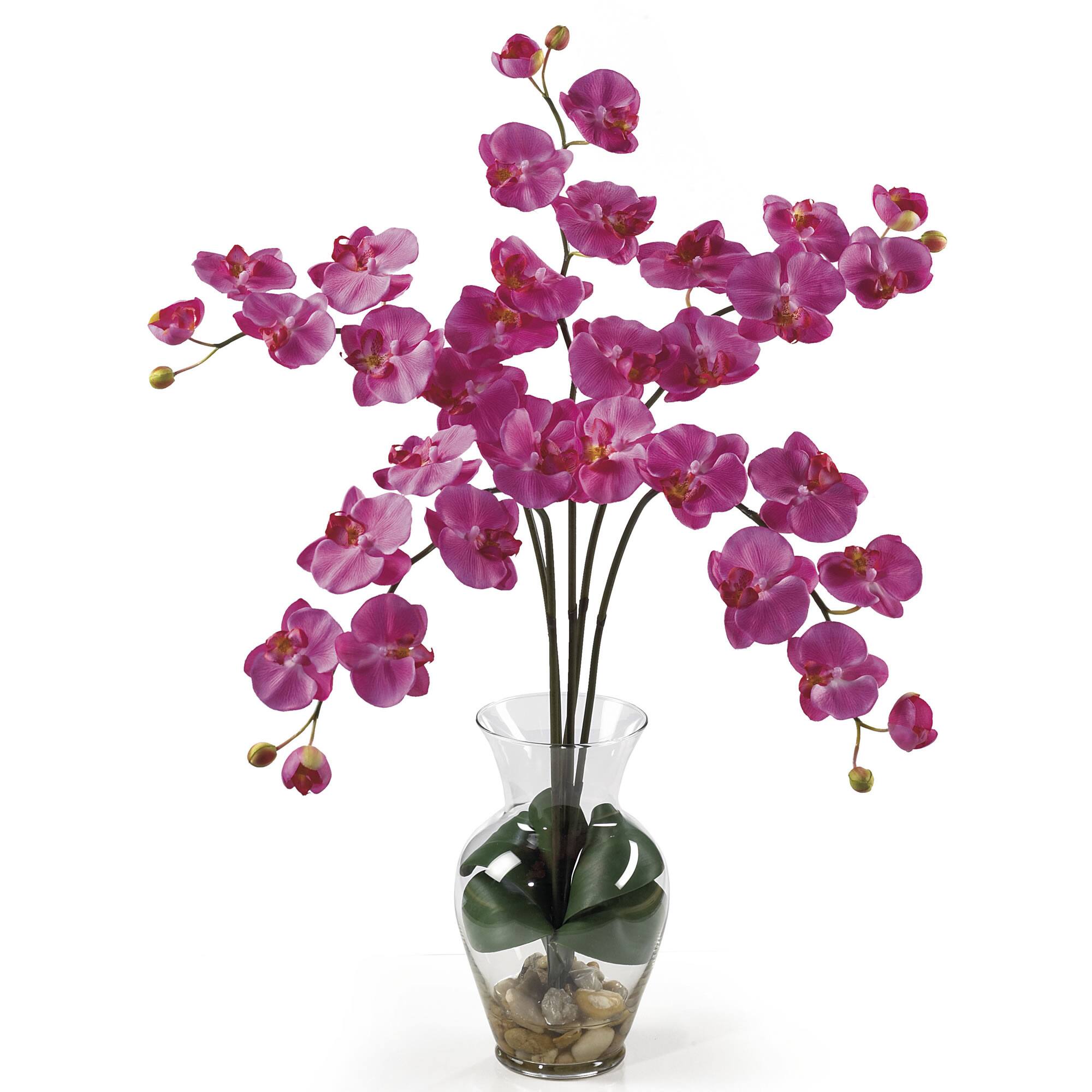 BreeBe Five Stem Phalaenopsis Liquid Illusion Dark Pink 1106-DP - Best Buy