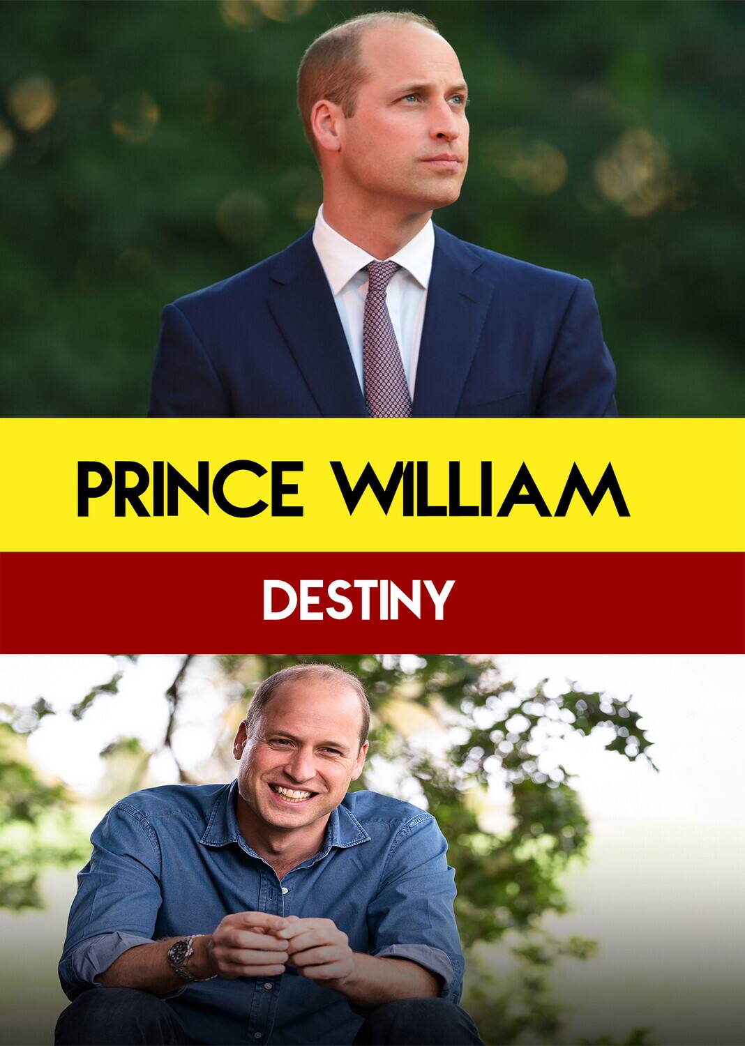 Prince William: Destiny DVD - Best Buy