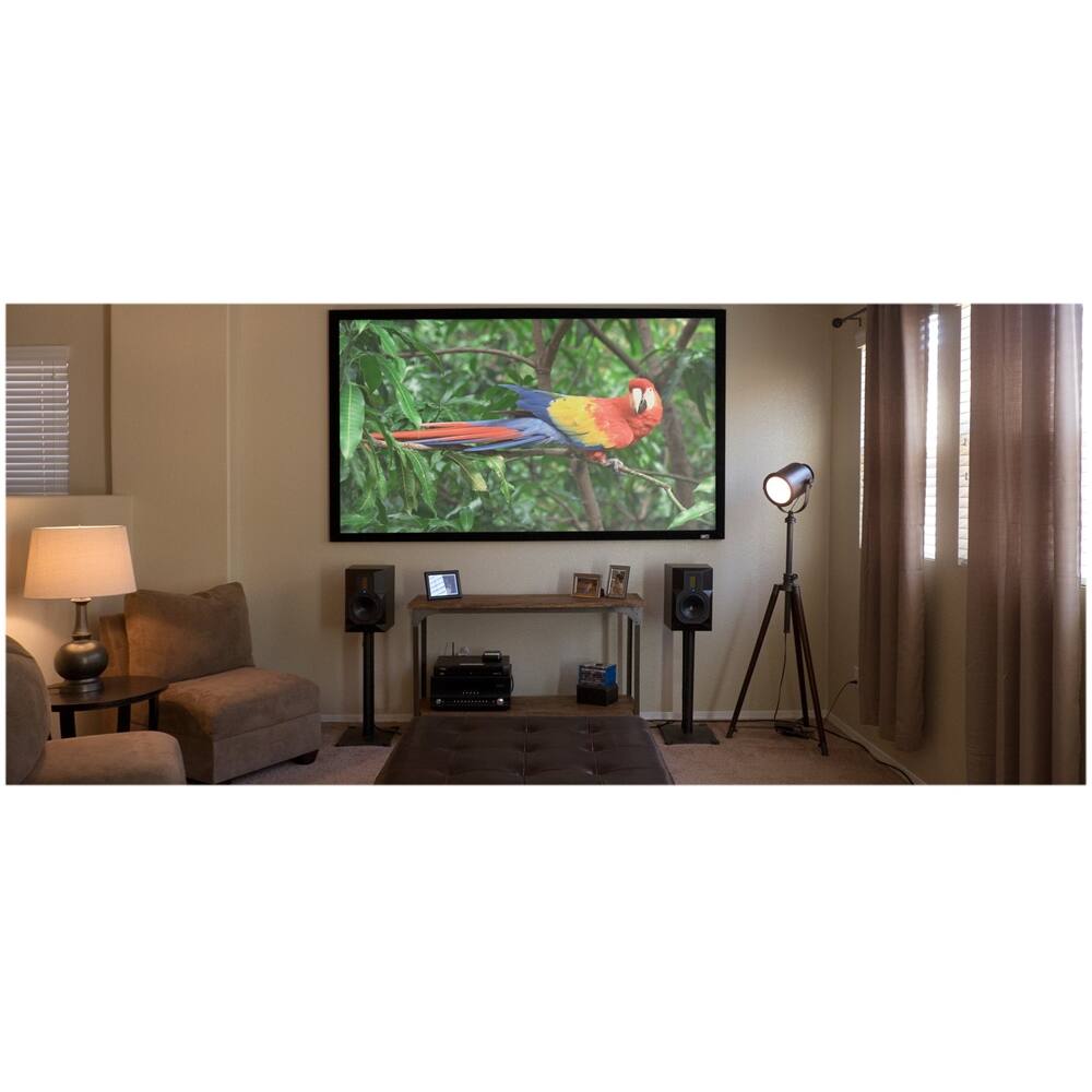 Elite Screens EzFrame Series 110" Projector Screen Black R110DHD5 ...