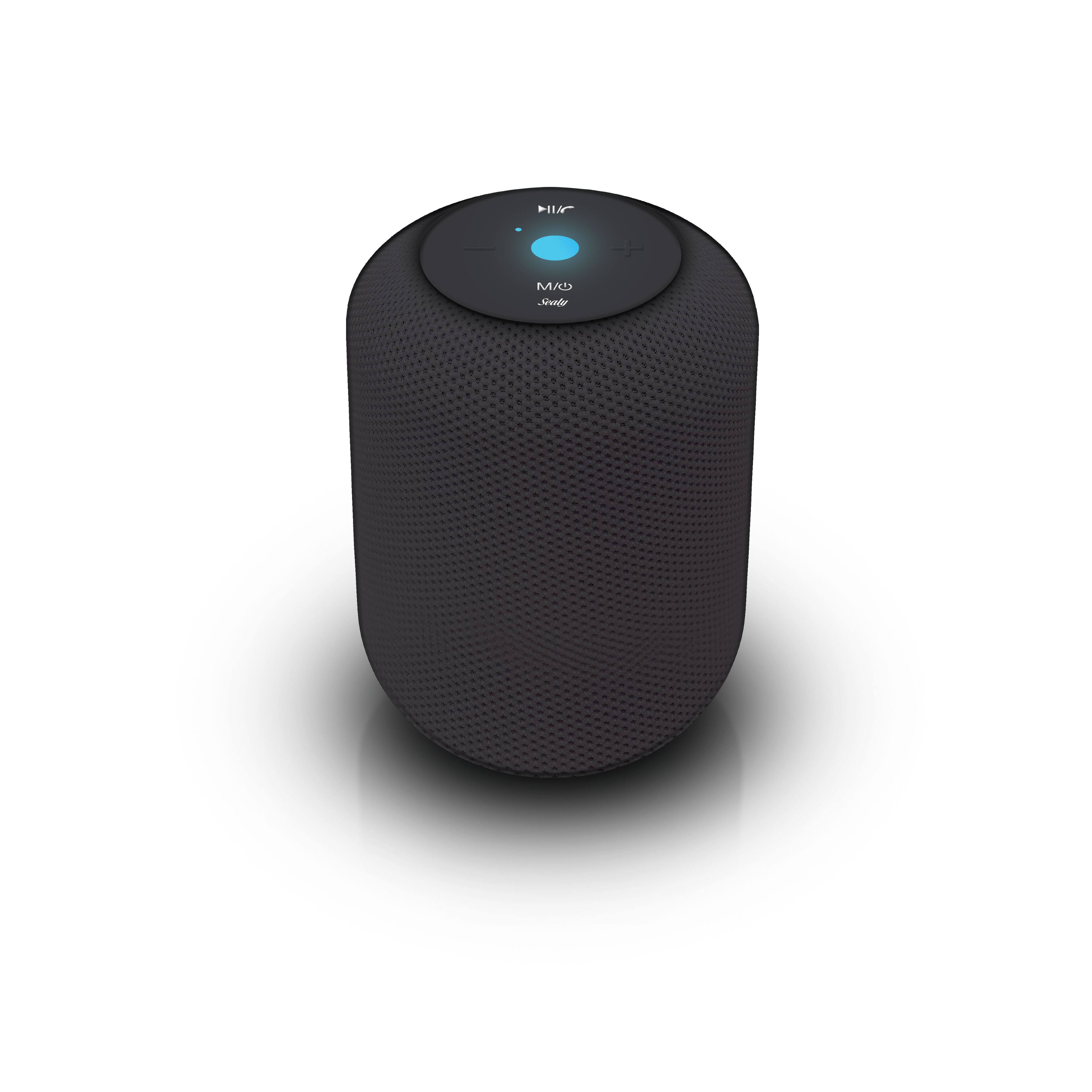 Best Buy: Sealy Fabric Wireless Speaker Sound Machine Black SL-HW-SN-114-bk