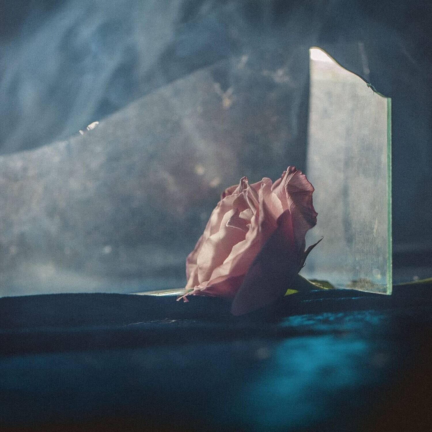 Lee Ranaldo In Virus Times VINYL LP - Best Buy