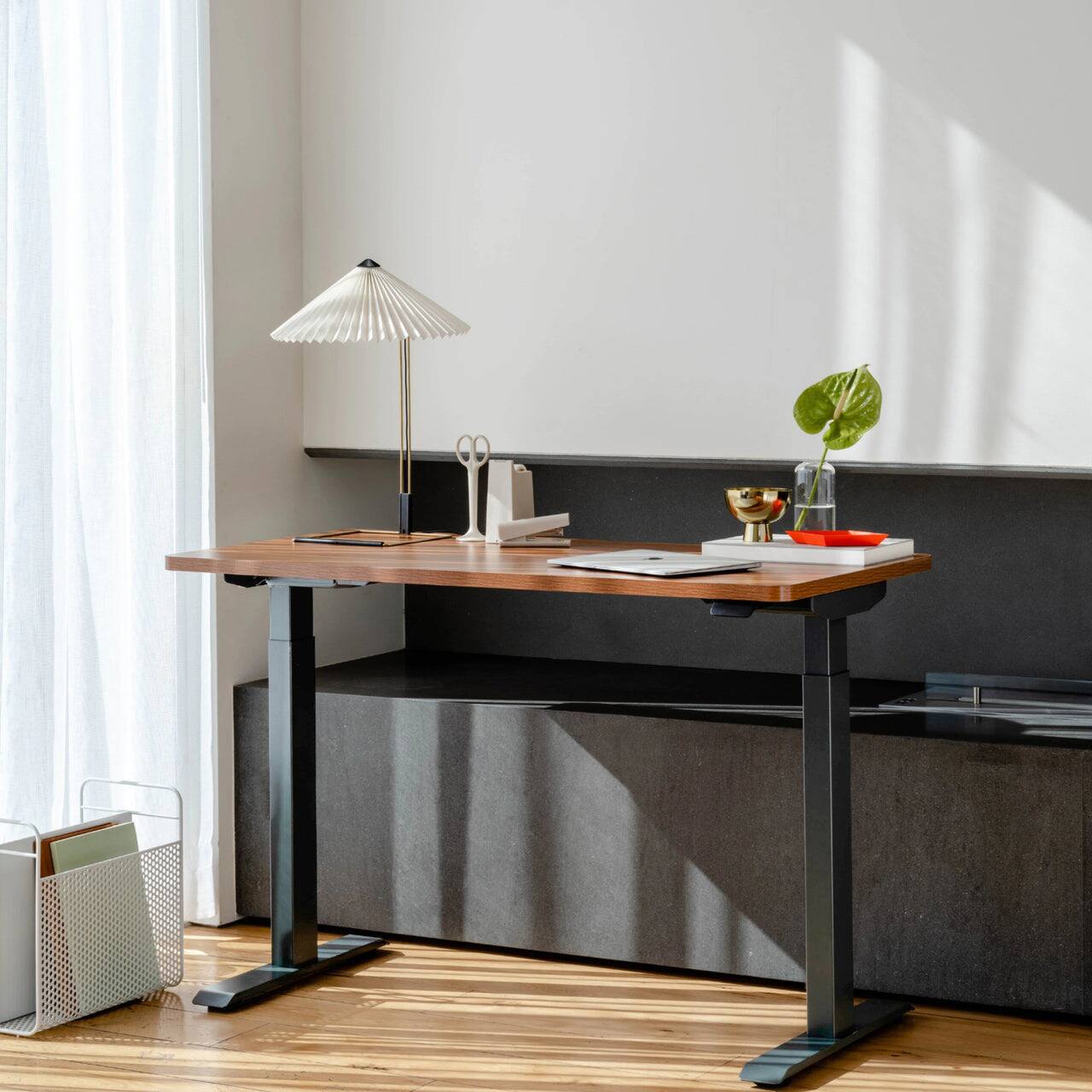 Branch Furniture Duo Standing Desk 36" – Adjustable Desk with OLED ...