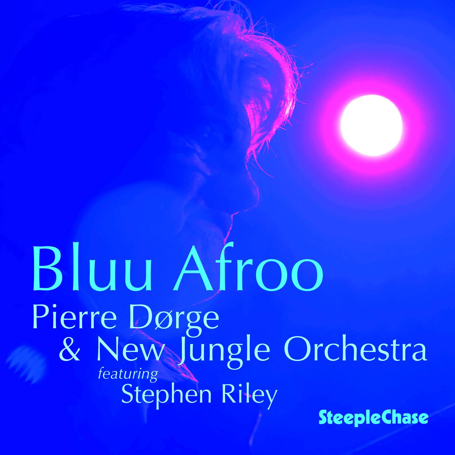New Jungle Orchestra Bluu Afroo COMPACT DISCS [CD] - Best Buy