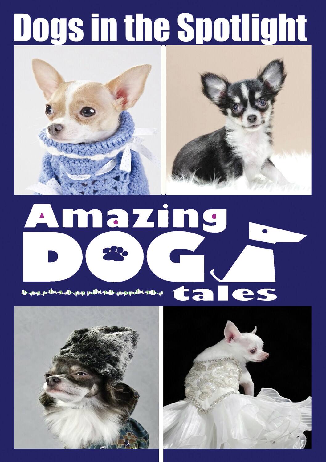 Amazing Dog Tales Dogs in the Spotlight DVD - Best Buy