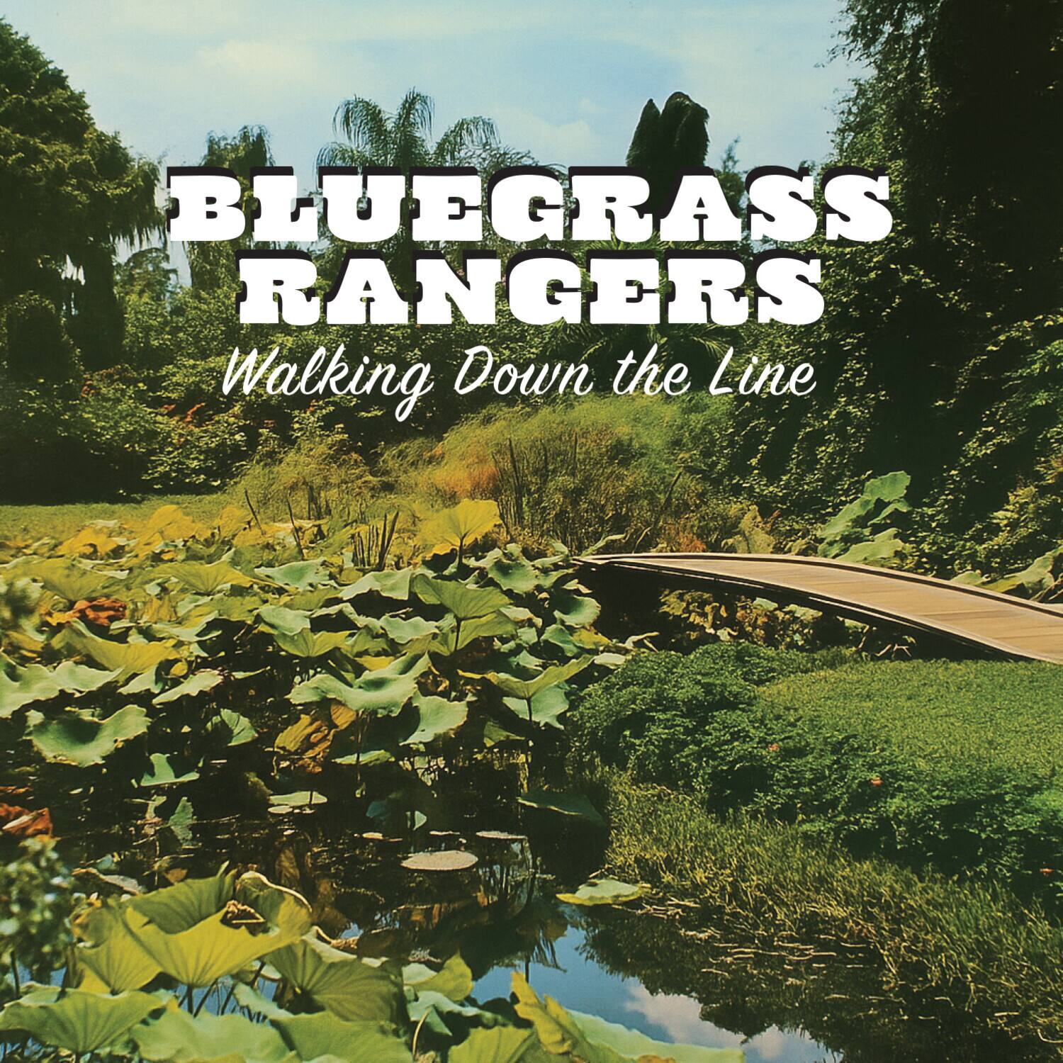 Bluegrass Rangers Walking Down the Line COMPACT DISCS [CD] - Best Buy