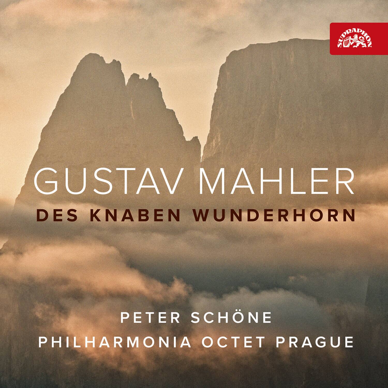 Peter Schoene Des Knaben Wunderhorn COMPACT DISCS [CD] - Best Buy