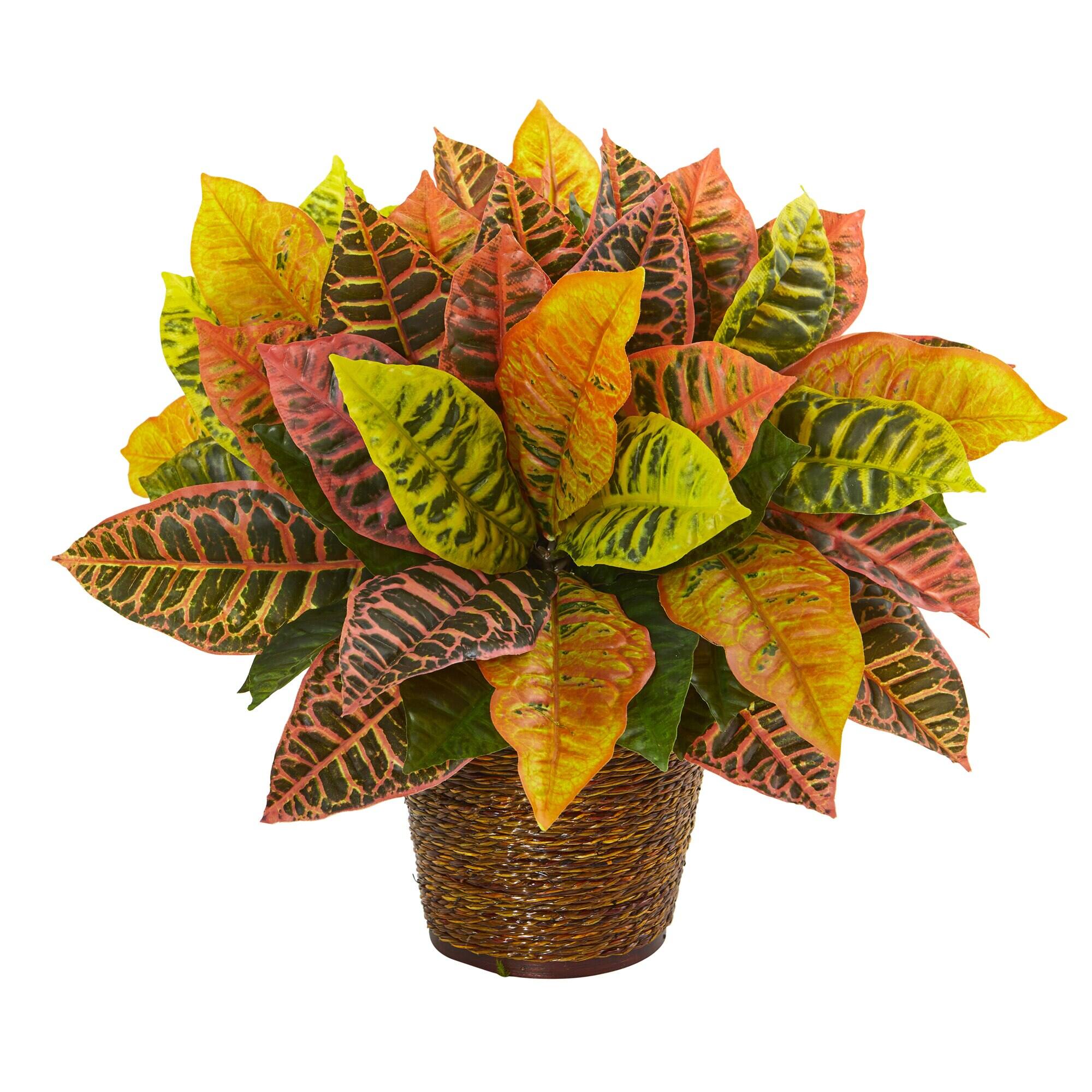BreeBe 17" Garden Croton Artificial Plant in Basket (Real Touch) Green ...