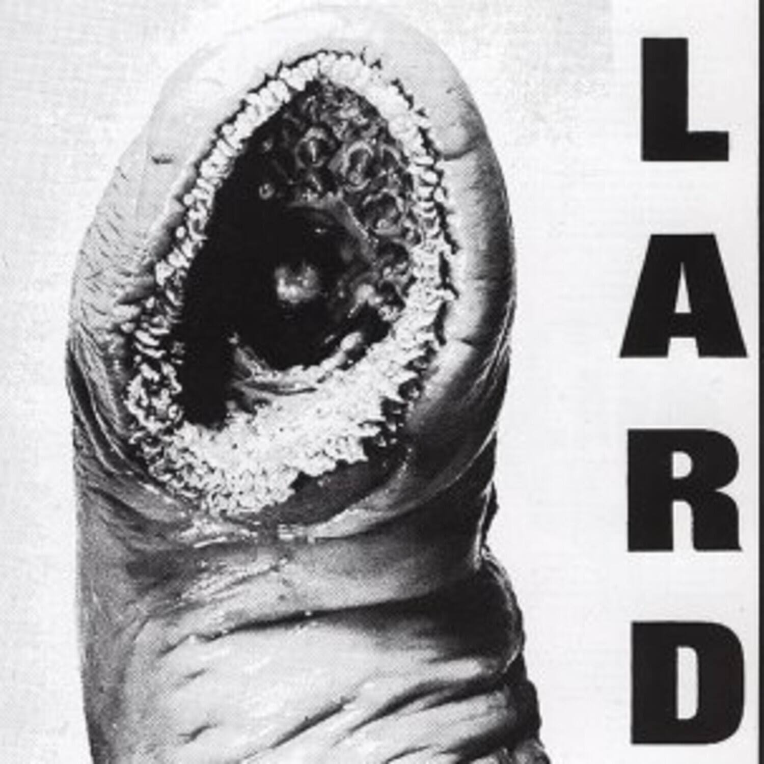 Lard Power Of Lard White VINYL LP - Best Buy