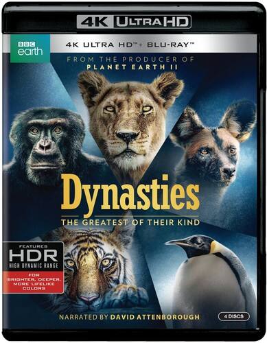 Dynasties The Greatest of Their Kind 4K Blu Ray [4K Ultra HD Blu ray ...