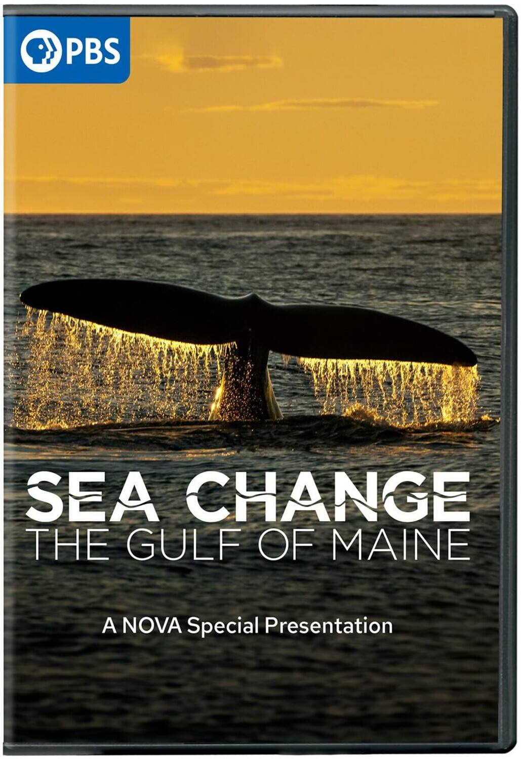 Sea Change: The Gulf Of Maine A NOVA Special Presentation DVD - Best Buy