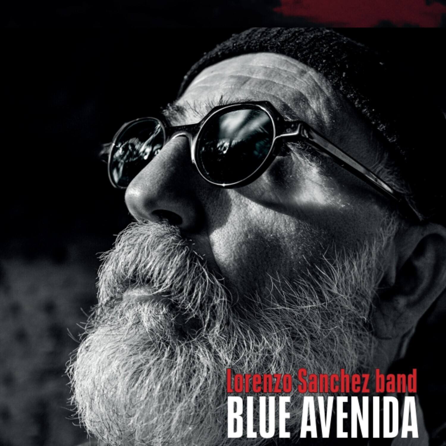 Lorenzo Sanchez Band Blue Avenida COMPACT DISCS [CD] - Best Buy