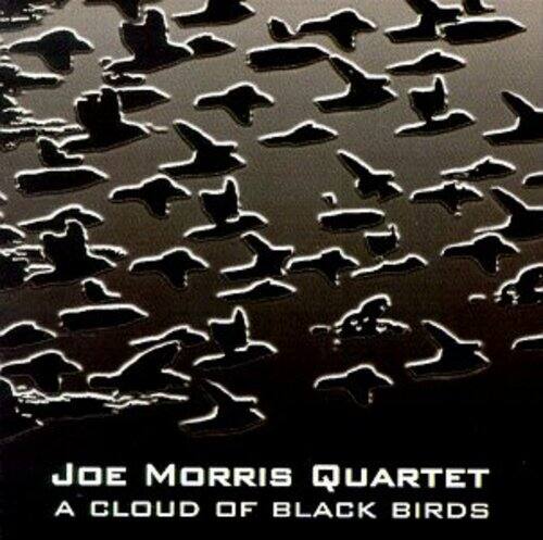 Joe Morris A Cloud Of Black Birds COMPACT DISCS [CD] - Best Buy