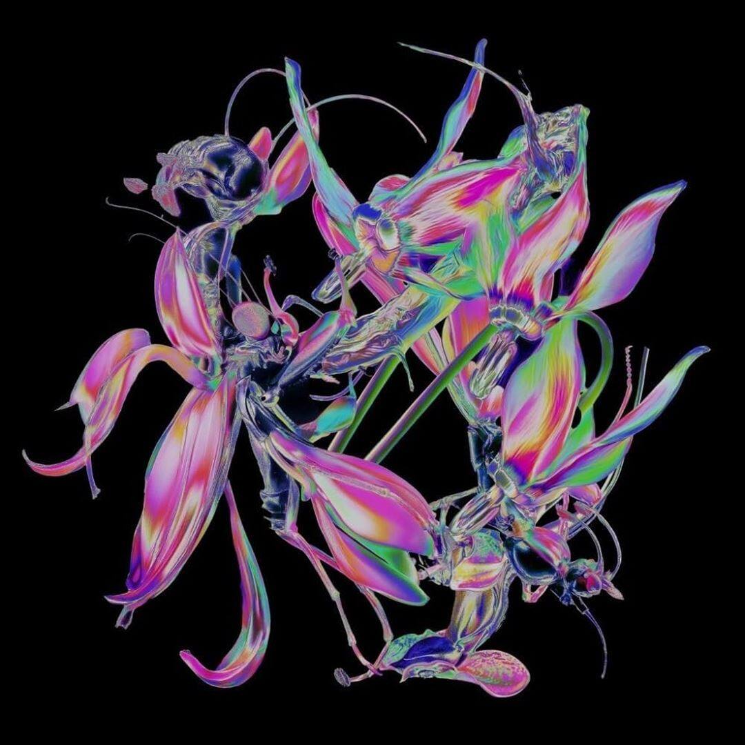 Drone [12 inch Vinyl Single] - Best Buy