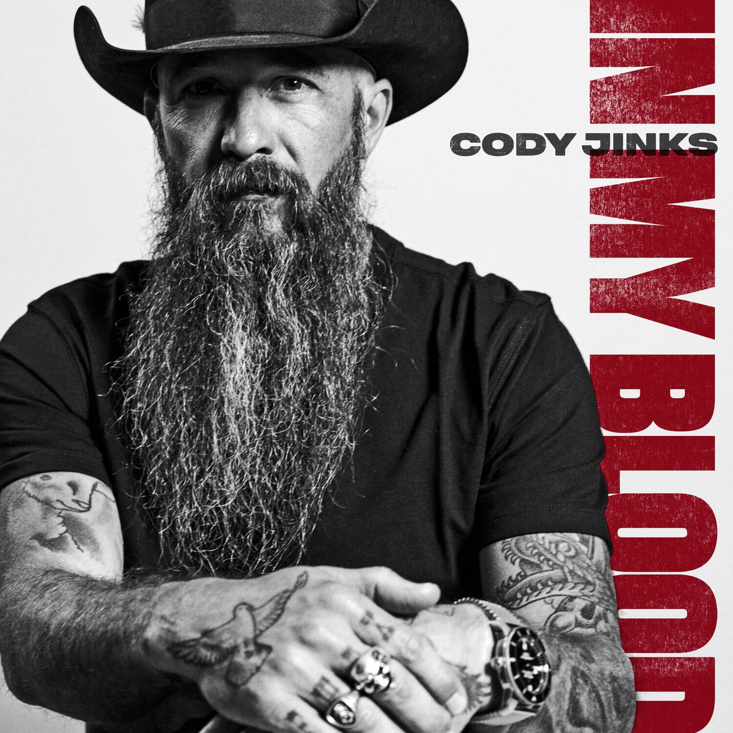 Cody Jinks In My Blood COMPACT DISCS [CD] - Best Buy