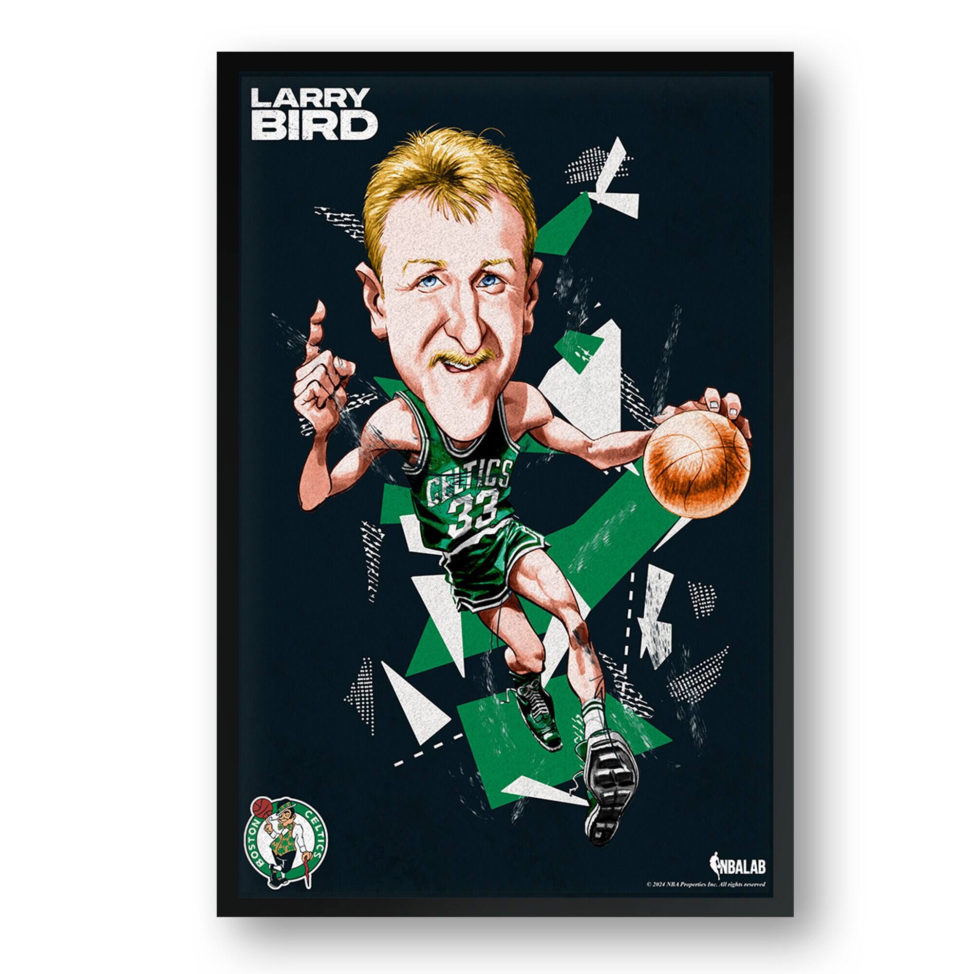 Sporticulture Larry Bird Boston Celtics Framed 14" x 20" Player ...