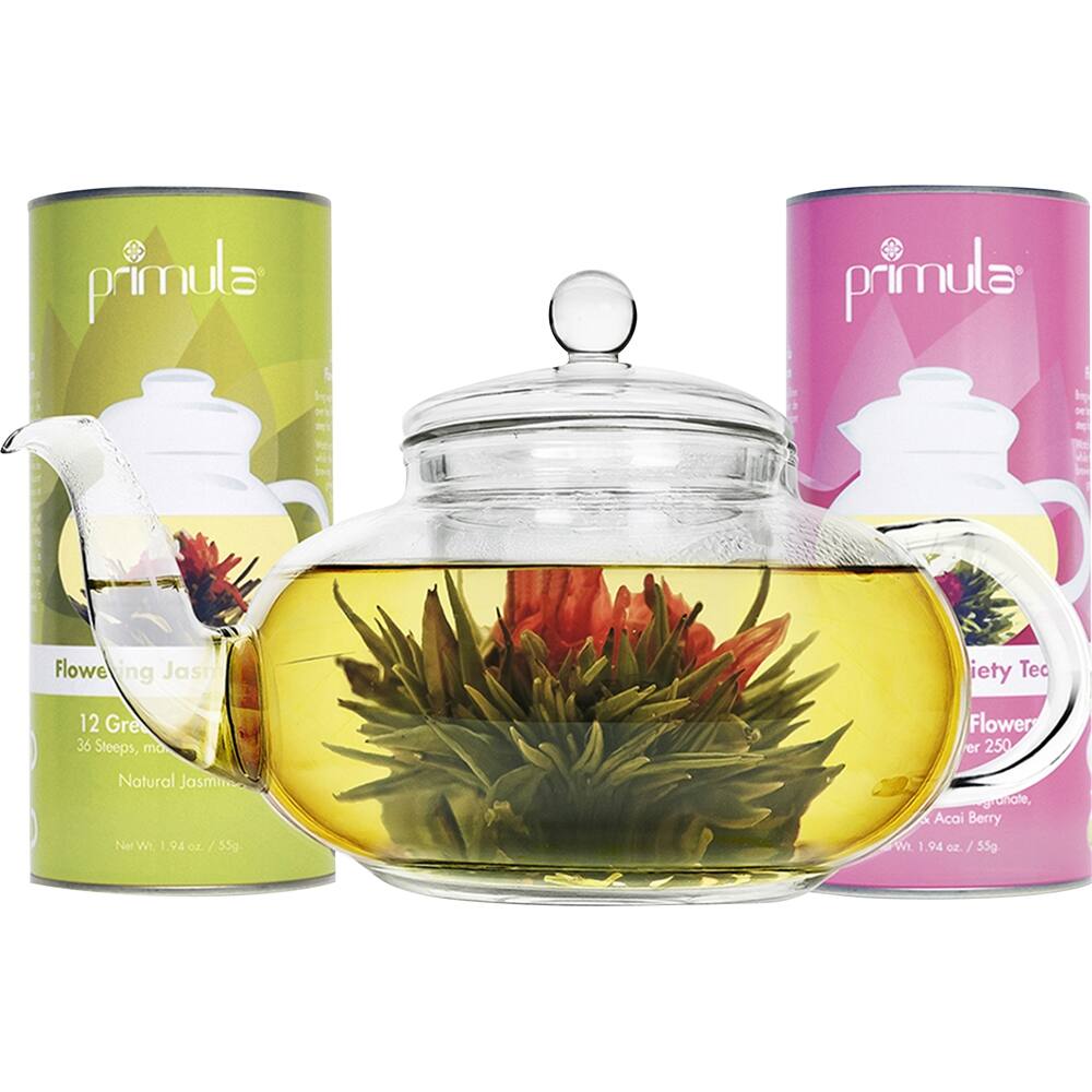 Best Buy: Primula Daisy Teapot Set Clear HWPL0001