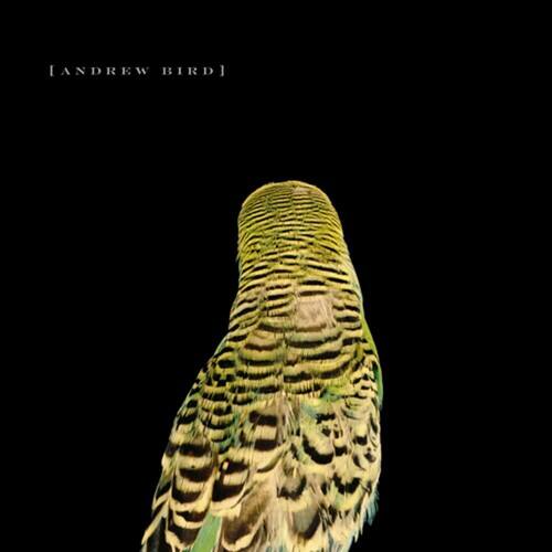 Andrew Bird Armchair Apocrypha COMPACT DISCS [CD] - Best Buy