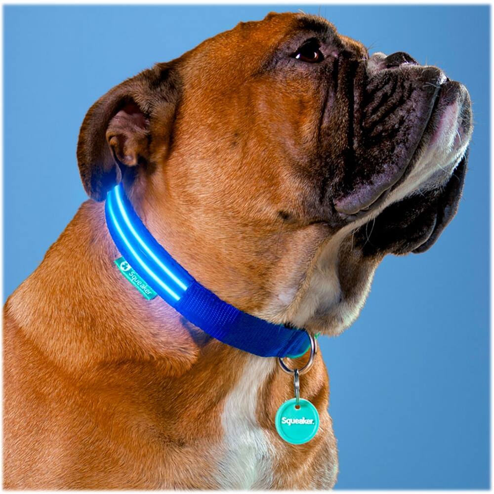 Best Buy: Squeaker Poochlight Light Up Flashing Collar (Small) Electric ...