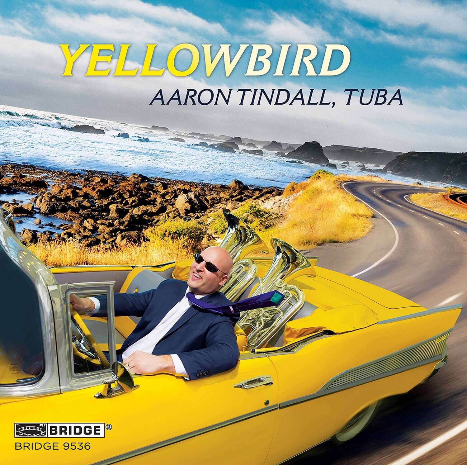 Aaron Tindall Yellowbird COMPACT DISCS - Best Buy
