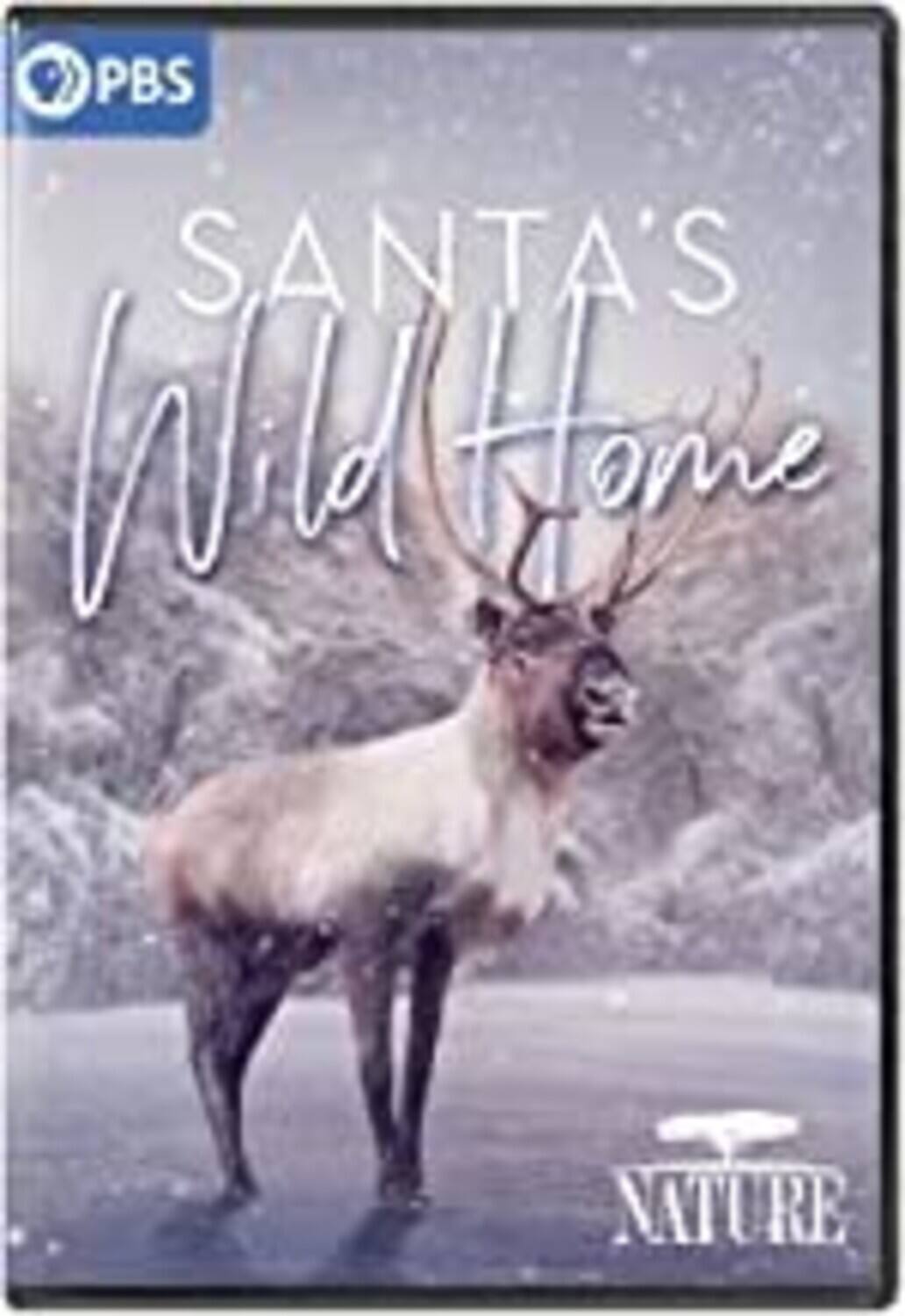 Nature: Santa's Wild Home DVD - Best Buy